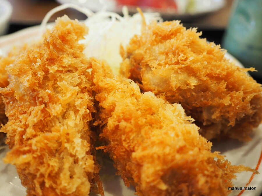 P3040090 – Manualmaton's Laboratory